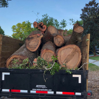 Tampa Bay Tree Service: Tarpon Springs & Clearwater, FL: Tree Trimming ...